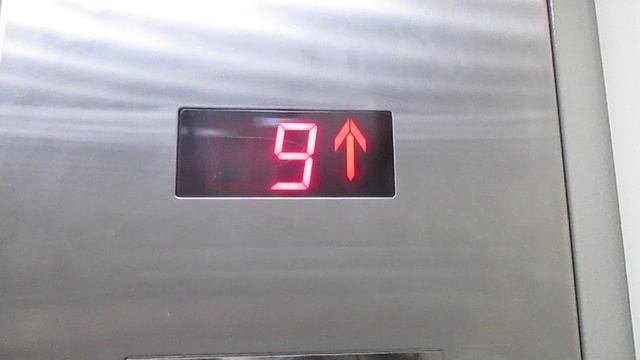 Лифт Ecomaks-(ЩЛЗ) @ М.О. р-н. Одинцовский, рп. Большие Вяземы, ул. Городок-17, д. 24-3 (2)