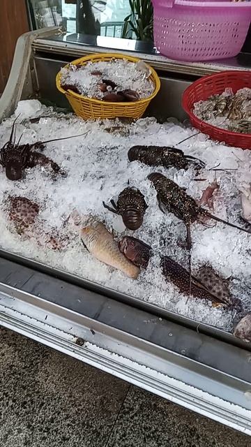 Рестораны Дахаба