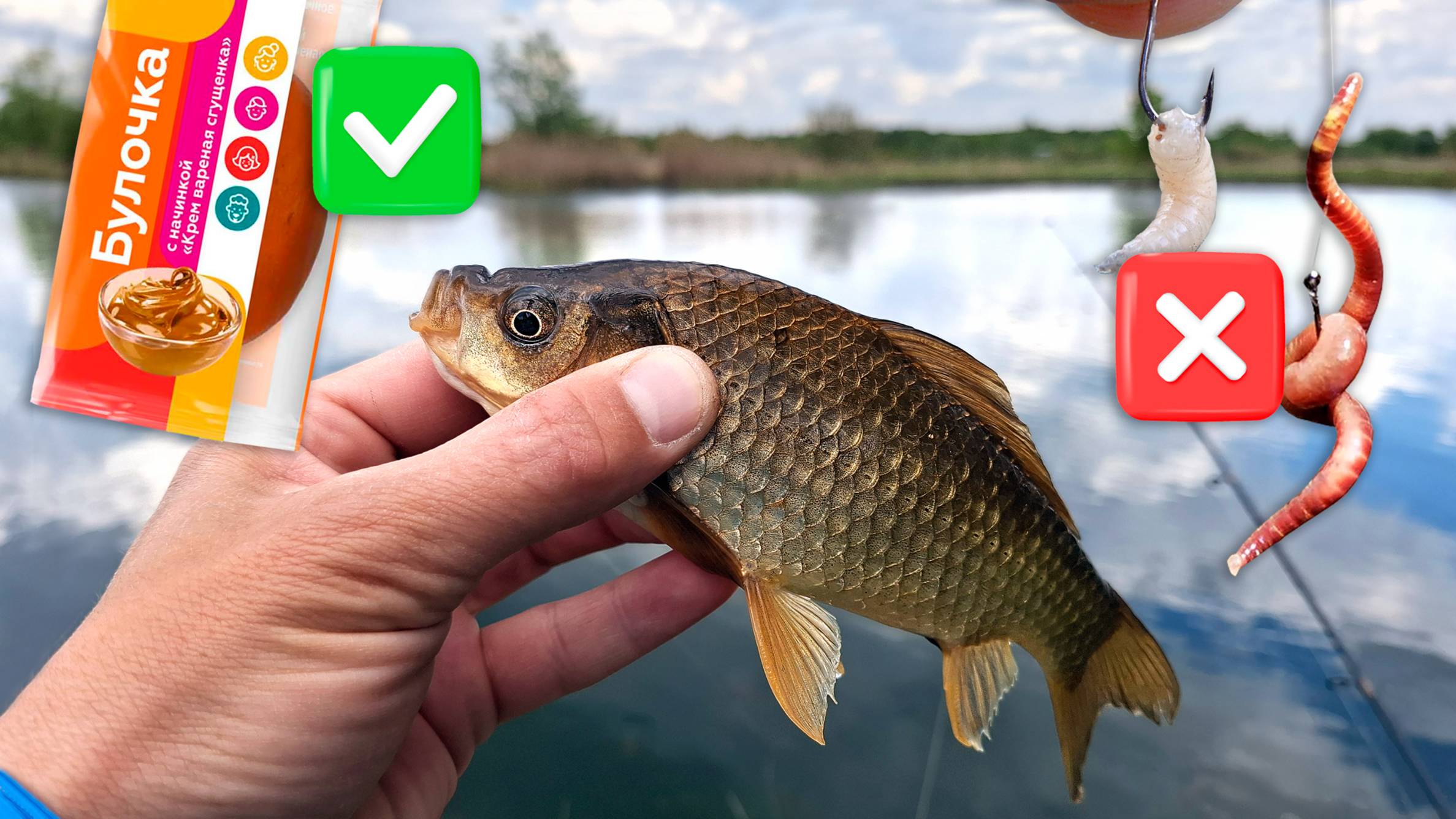 Насадил червя и опарыша, а карась клюёт на булочку! Донная рыбалка. Ловля на скользящий поплавок.