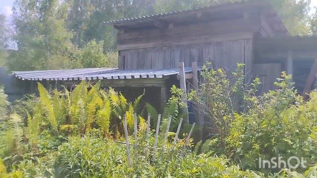 С.Б. влог выходные