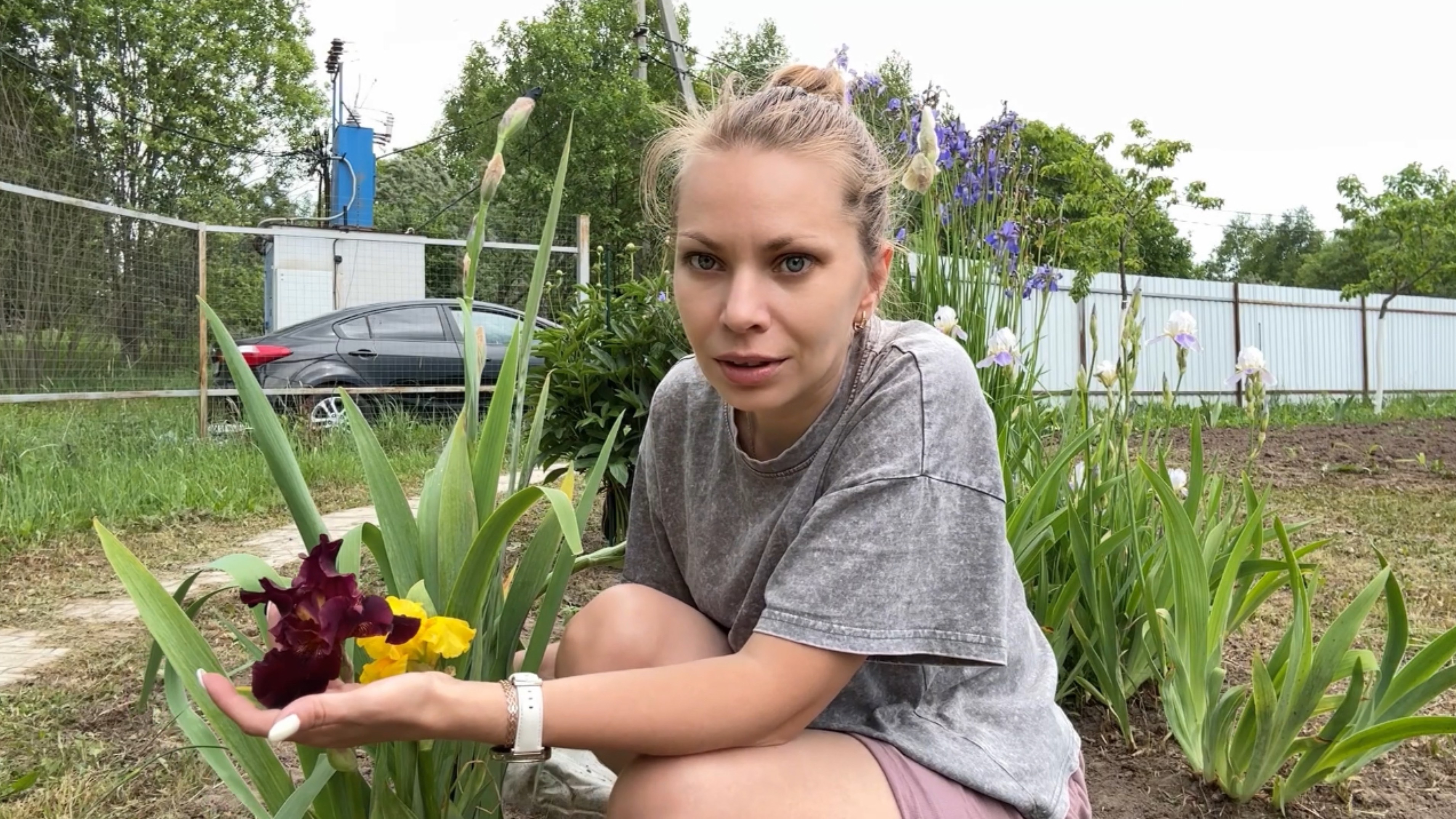 ДАЧА 07.06.25 КУПИЛА НОВЫЕ ИРИСЫ