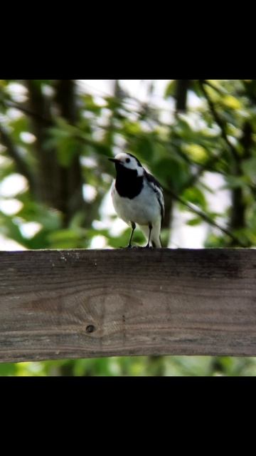 Еда, лети ещё 😄