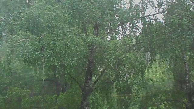 Гроза 8 июня 2025 года. DSCN6481