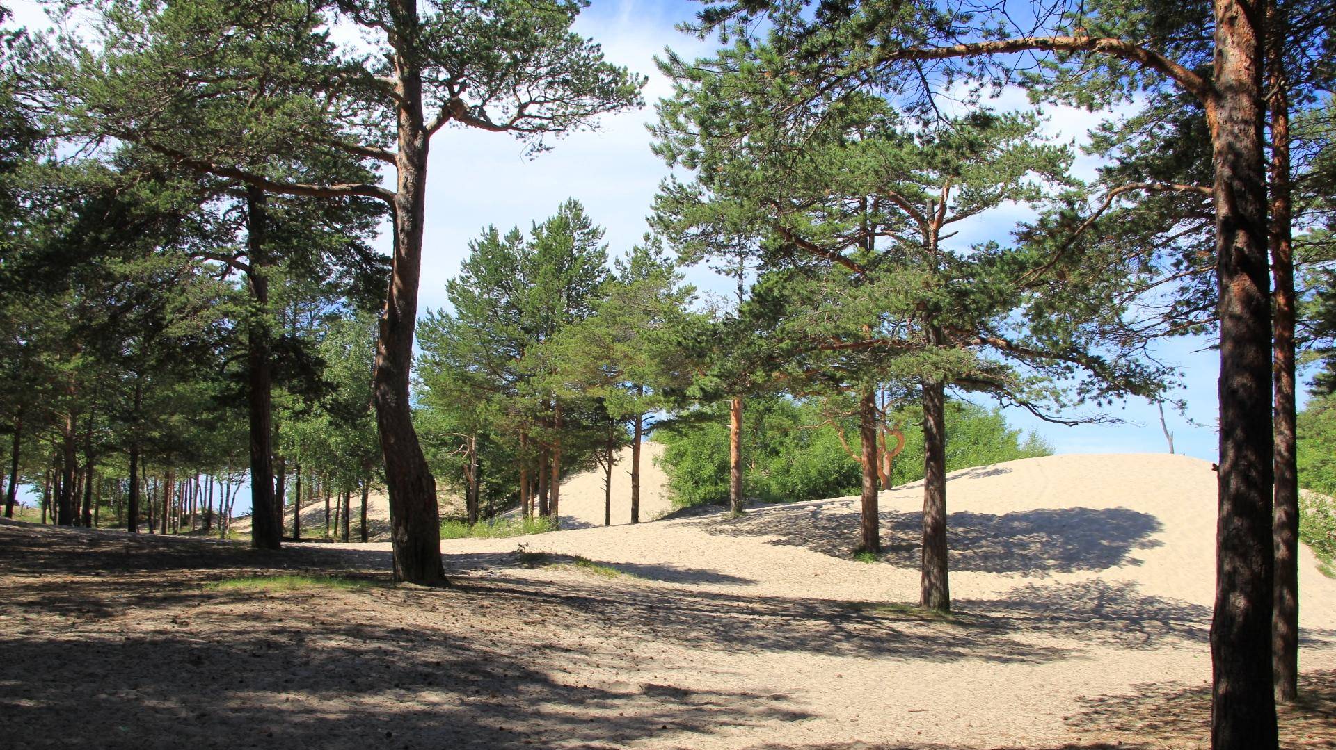 Северодвинск. Остров Ягры