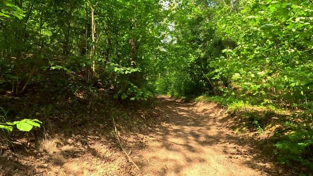 Стихотворение в прозе.  И.С.Тургеньева "Природа"