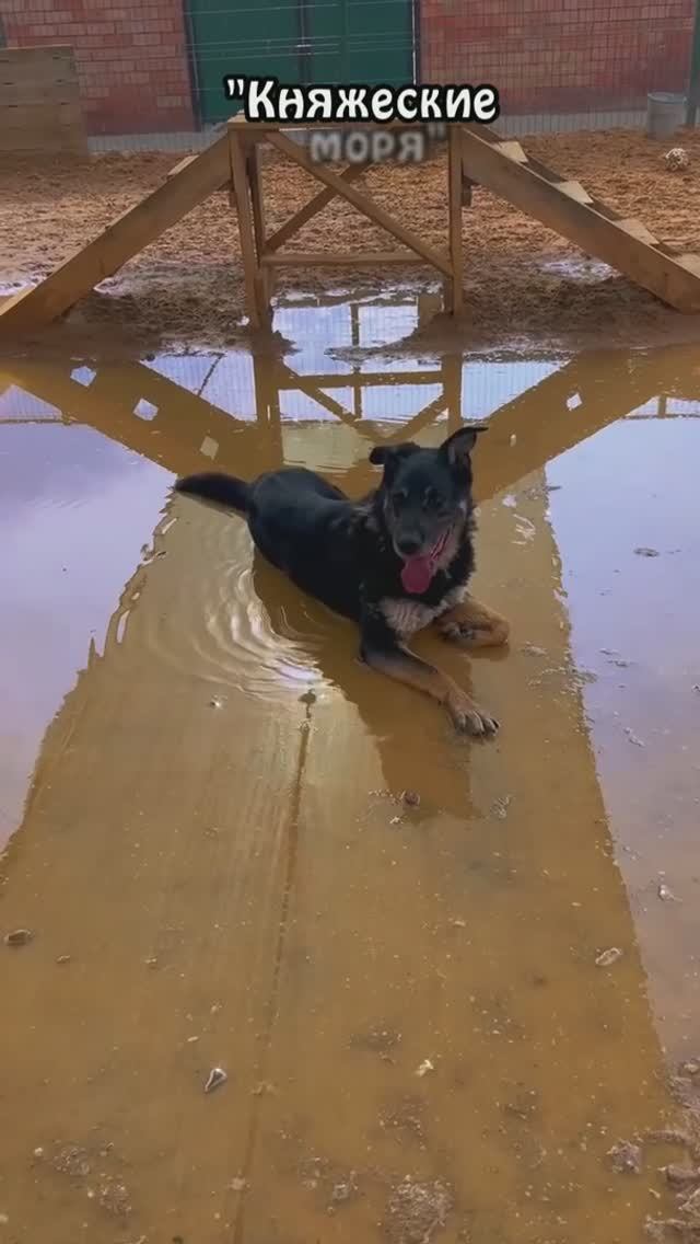 "Княжеские моря"🌊 ❥ Приют в Малинках