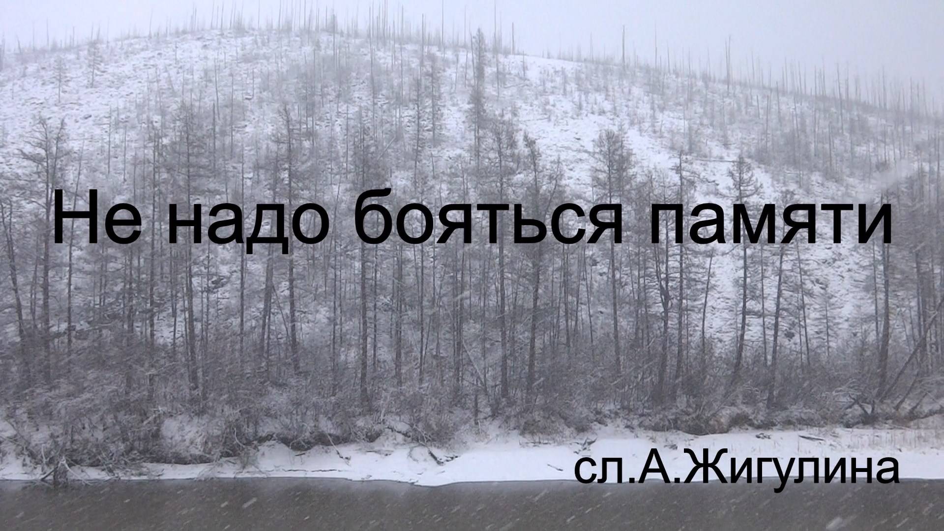 Снег над соснами кружится, кружится. Песня на стихи А. Жигулина