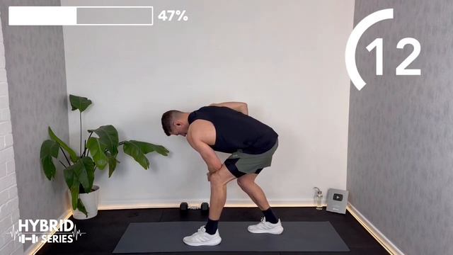 30 Min LIGHT DUMBBELL UPPER BODY WORKOUT _ 10 of Hybrid Series