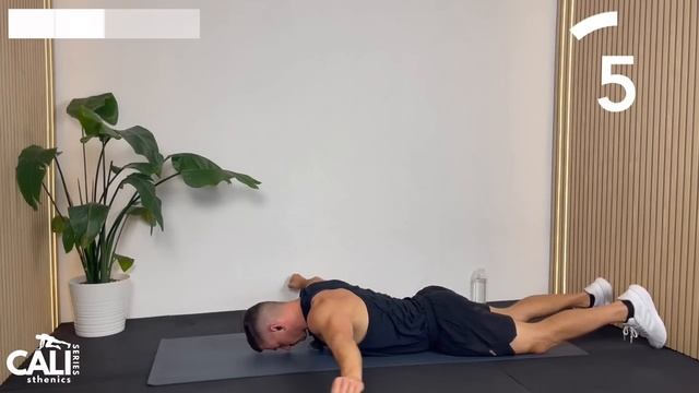 30 Min CALISTHENICS FULL BODY WORKOUT _ Day 2