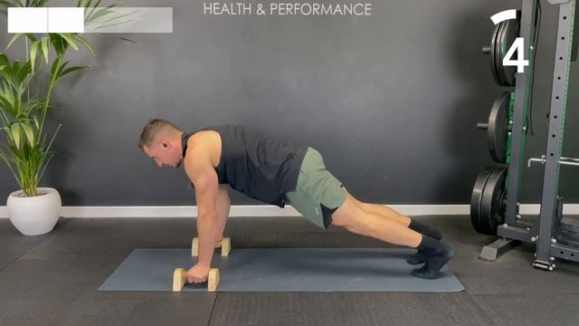 20 MIN PARALLETTES WORKOUT FOR BEGINNERS _ Follow Along