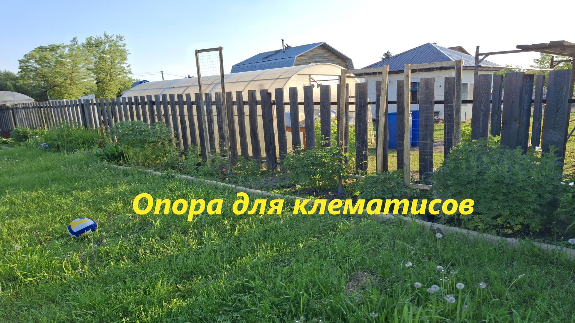 Опора (шпалера) для клематисов. Установка без лопаты.#81