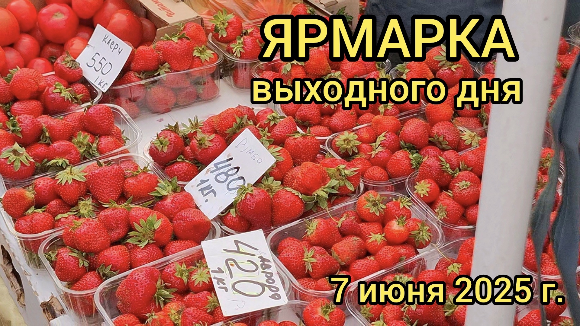 Краснодар - Ярмарка выходного дня на ул. Одесская - цены на продукты - 7 июня 2025 г.
