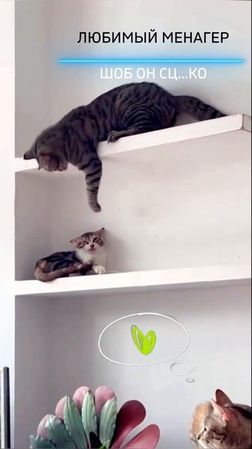 В кратце о моей рабочей неделе...