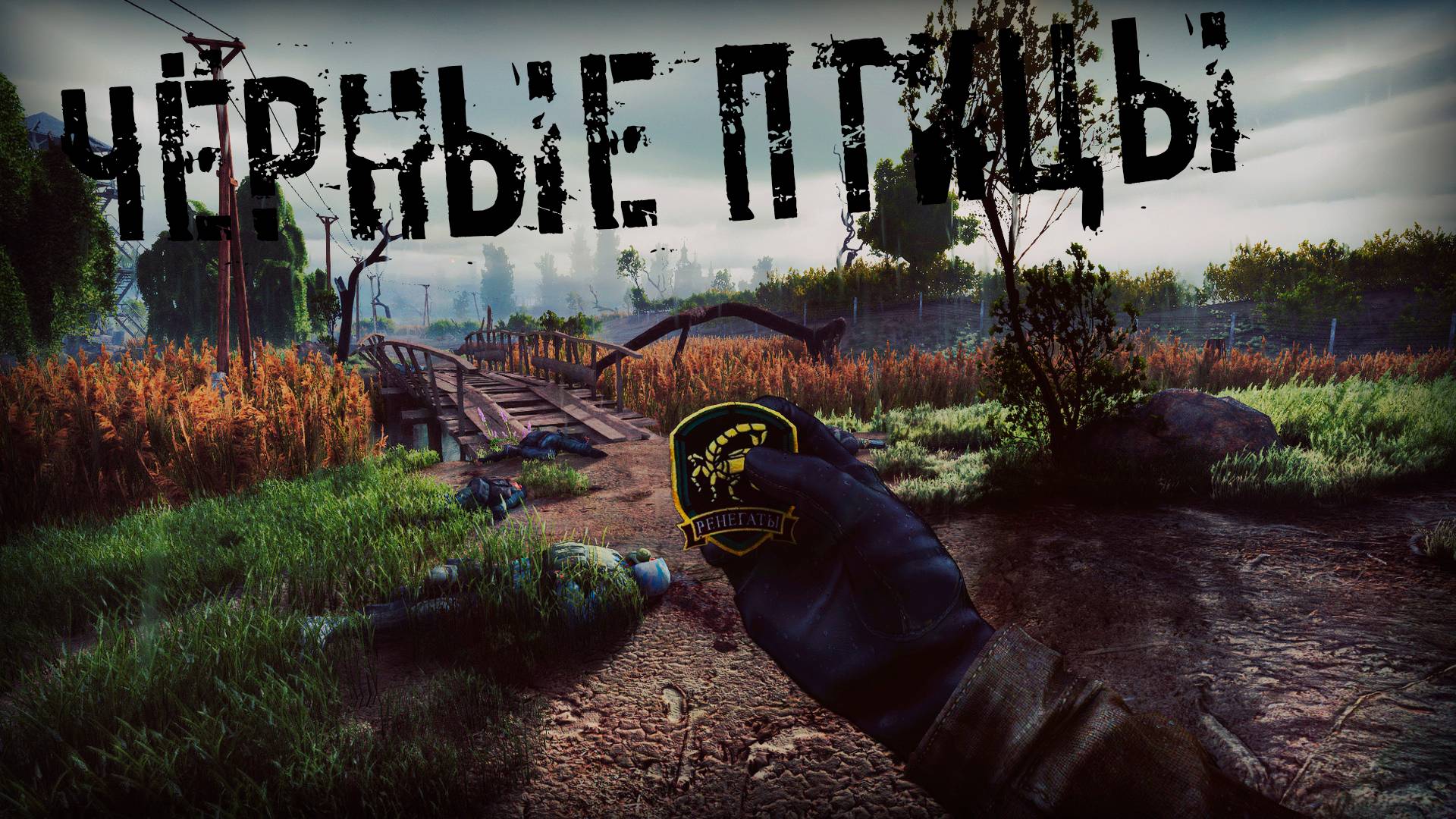 ЧЁРНЫЕ ПТИЦЫ - S.T.A.L.K.E.R. Anomaly EDIT