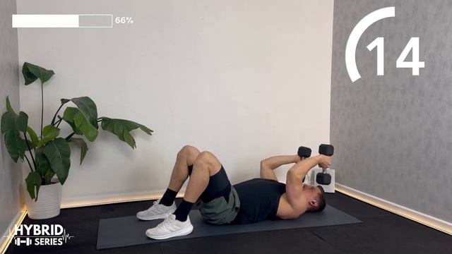 30 Min LIGHT DUMBBELL FULL BODY WORKOUT _ 5 of Hybrid Series