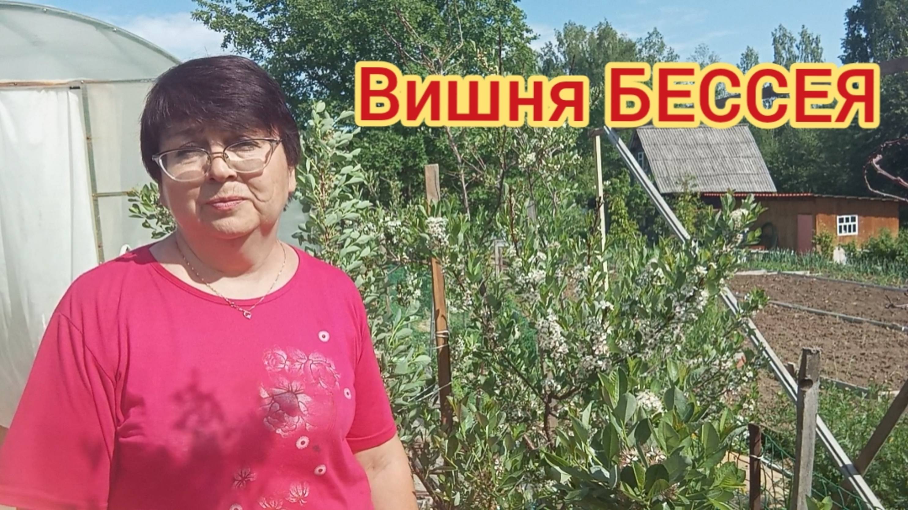 ВСЕ, ЧТО ЗНАЮ ПРО БЕССЕЮ.