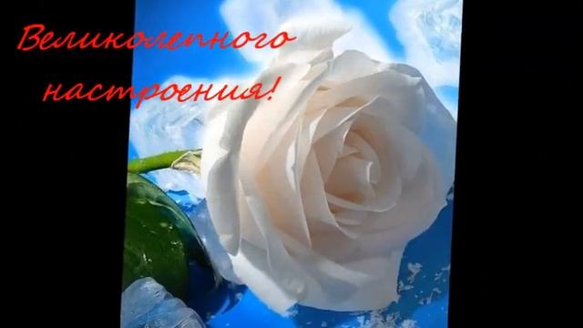 ПОЗДРАВЛЯЮ!!!