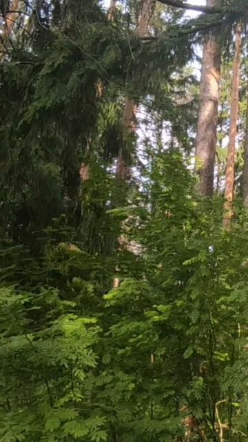 (9) Евангелие от Матфея глава 7 стих 22-29