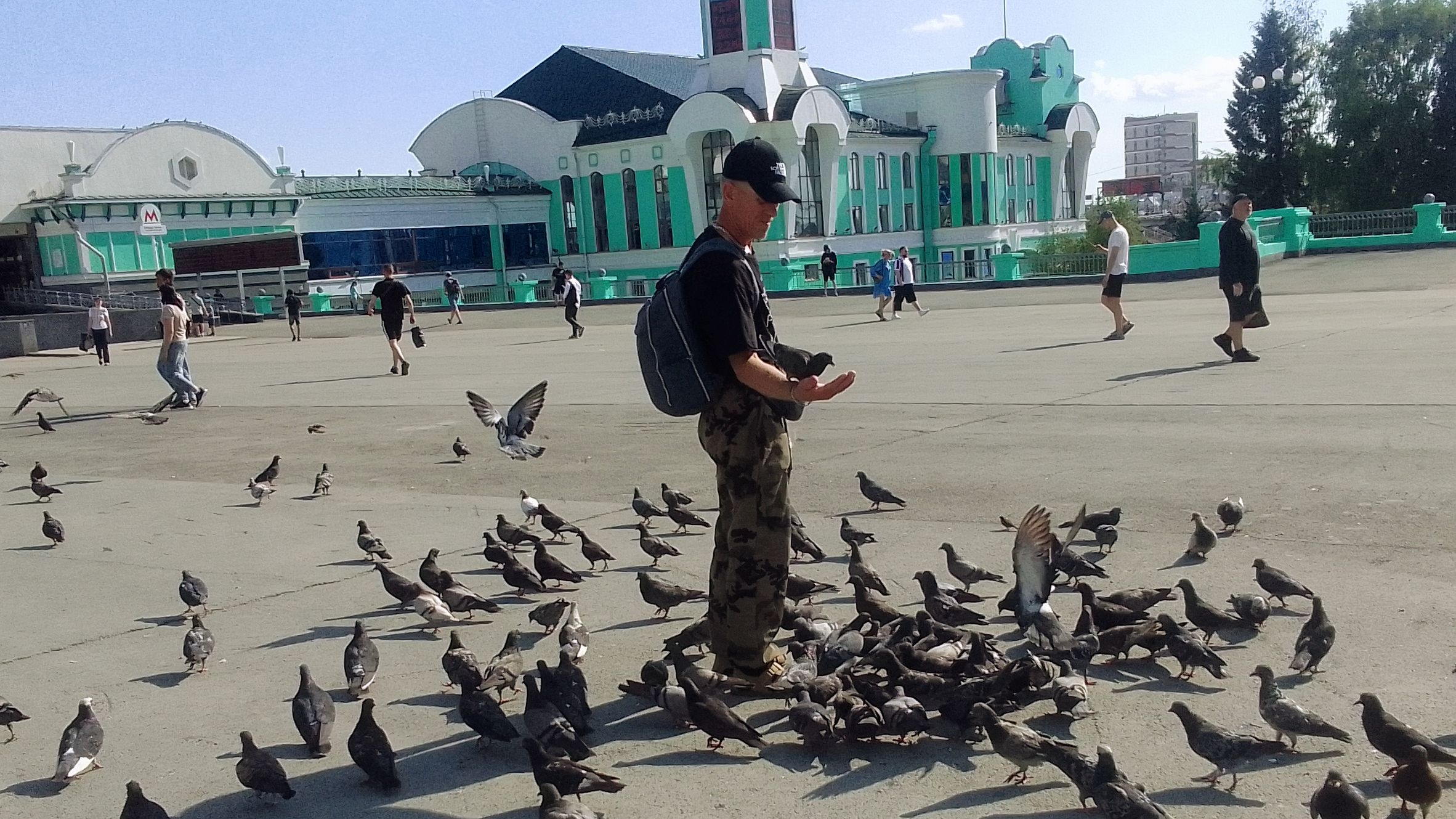 Человек и Голуби/ Вокзал Новосибирск -Главный/ начало июня2025❤☺️