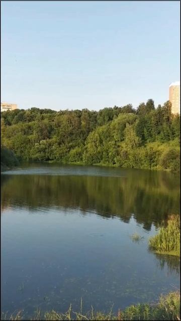 Подмосковье