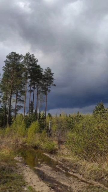 (12) Евангелие от Матфея глава 11 стих 1-10