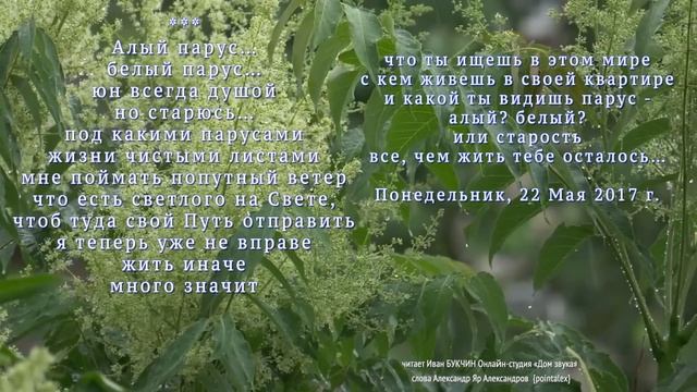 Алый парус читает Иван БУКЧИН Онлайн-студия «Дом звука»