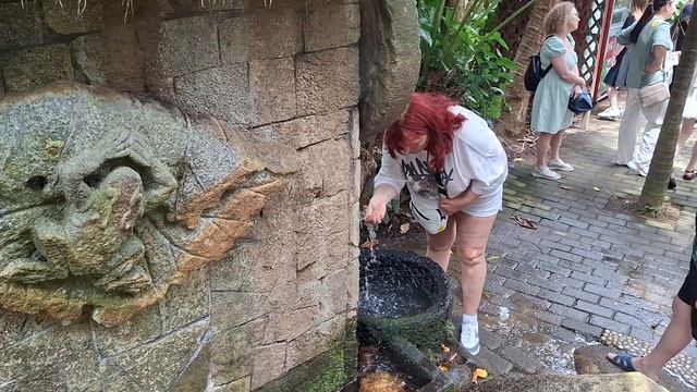 Янода. Родник. Хайнань. 12.05.2025