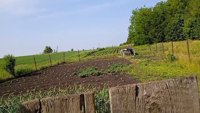 давно не виделись