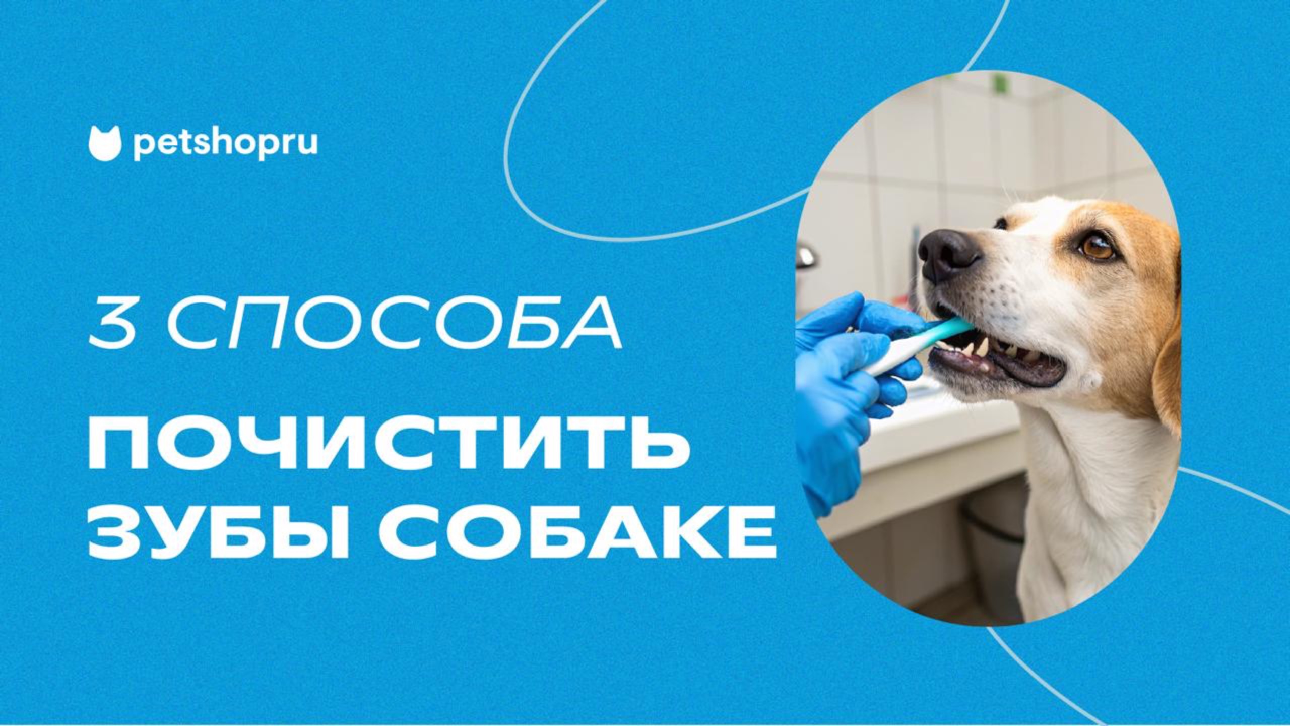 Как легко чистить зубы собаке? 3 способа почистить зубы собаке