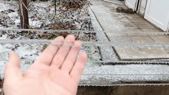 Виноградник зима 12. 12. 2023 год