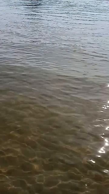 ПИЛИНГ ДЛЯ НОГ НА ХАЛЯВУ