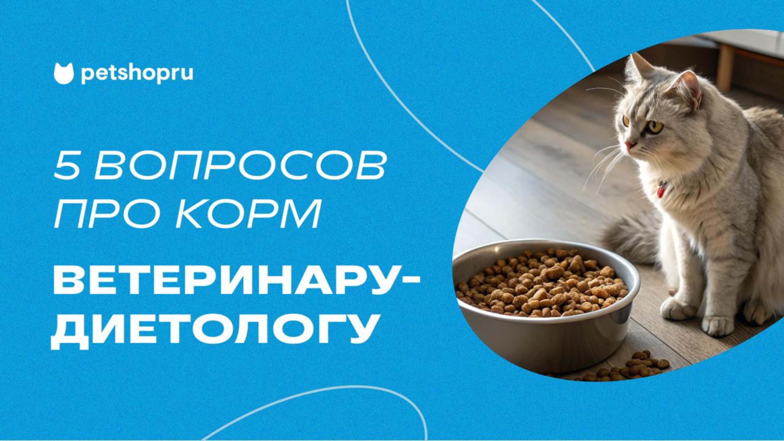 5 рандомных вопросов про корм ветеринарному врачу диетологу