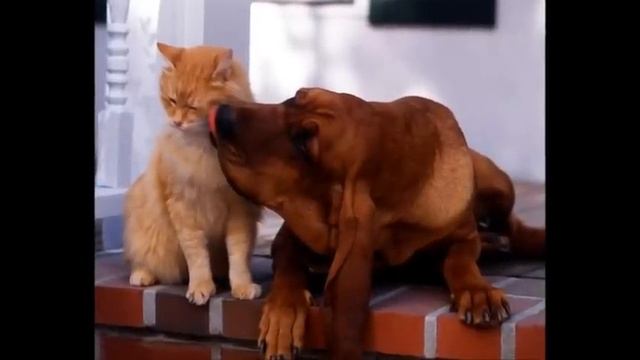 С ЧИСТЫМ ЧЕТВЕРГОМ!