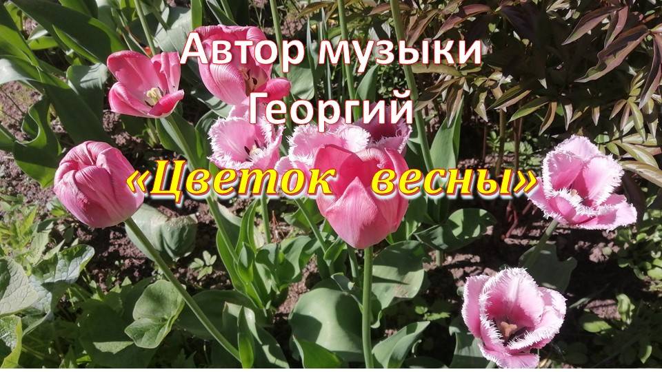 Цветок весны Автор Георгий