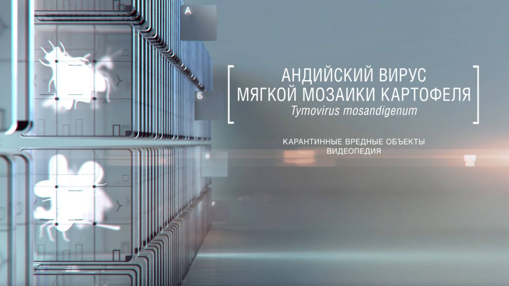 Андийский вирус мягкой мозаики картофеля Tymovirus mosandigenum