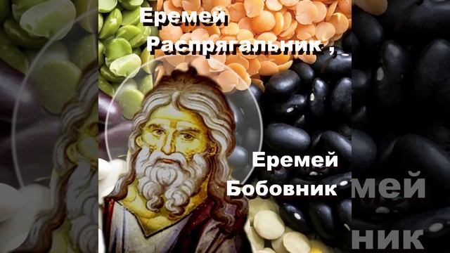 Июнь с 11 по 15 и И.С.Бах