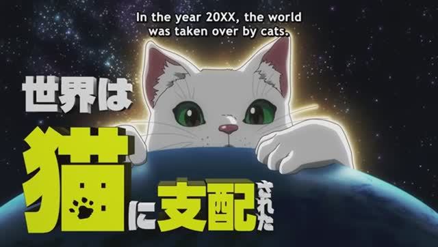 «Ночь живых кошаков», трейлер аниме