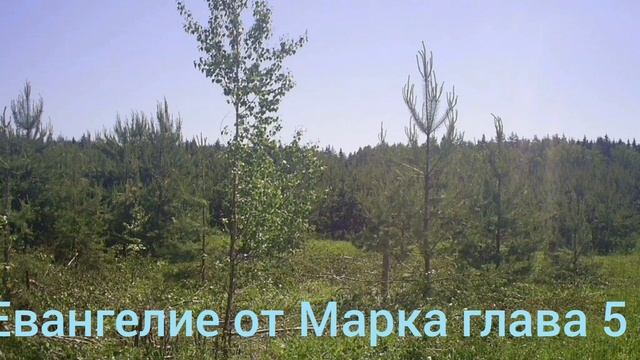 Евангелие от Марка глава 5
