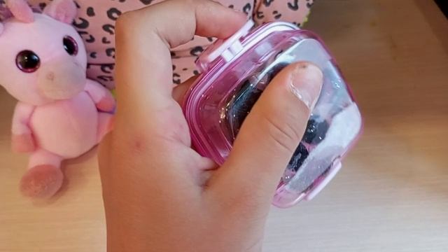 Собираю вещи в дом отдыха для Милки и Барбоса