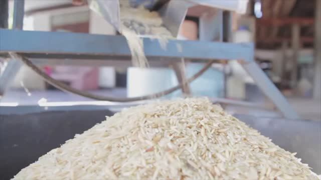 Оборудование для переработки зерновых и бобовых культур