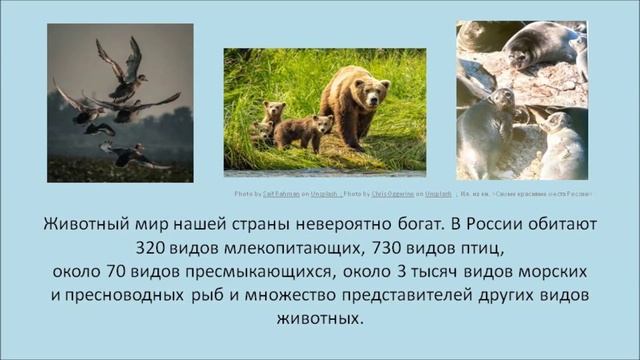 Наша Родина - Россия