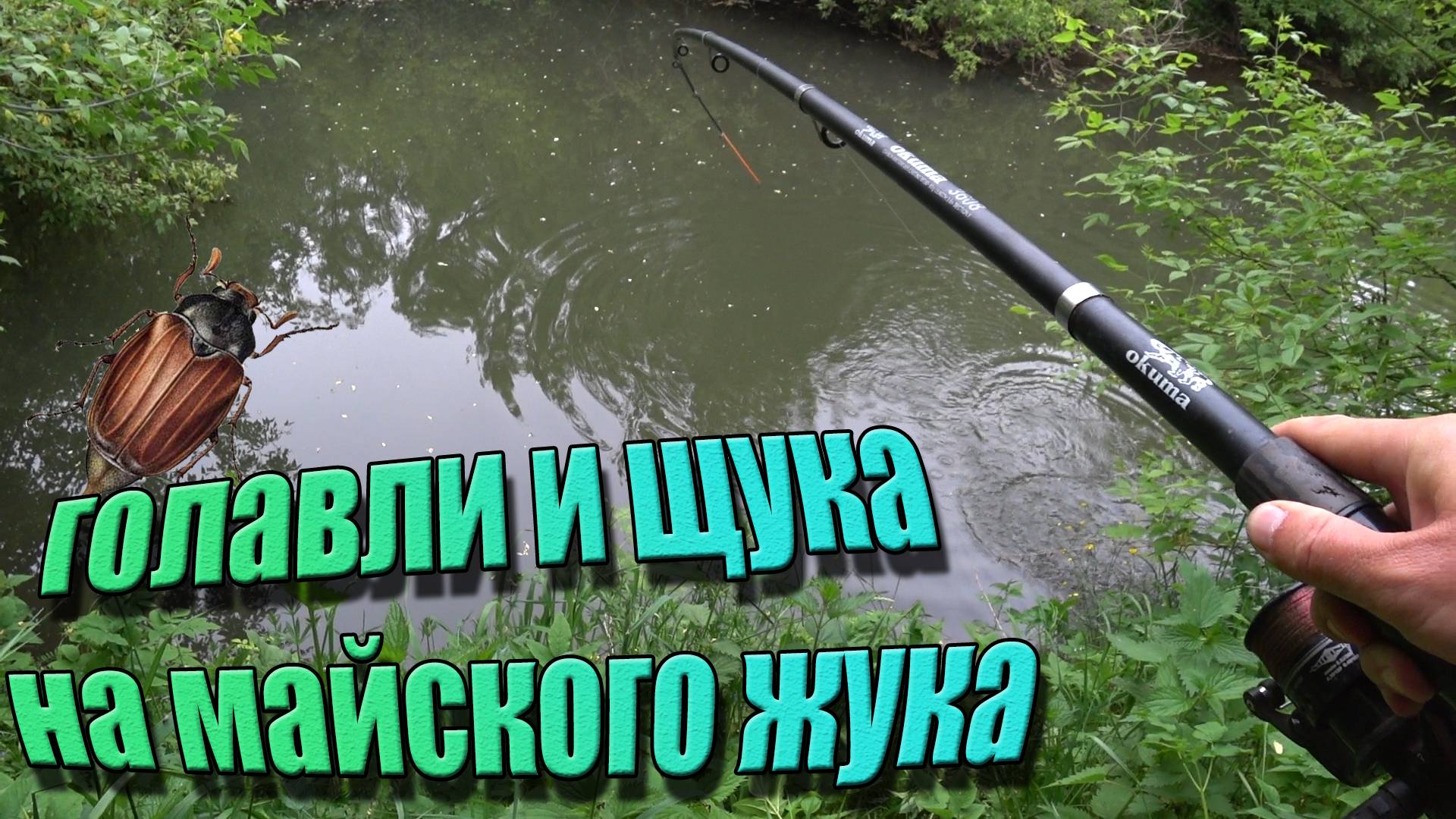 Голавль и щука, на майского жука, в начале июня!Силиконовый жук тоже сработал!Рыбалка на реке Сосна!