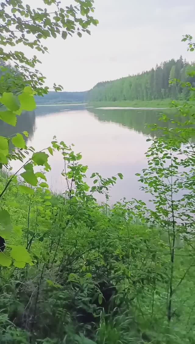 Рыбалка на реке Чусовая 4-6 июня 2025 года