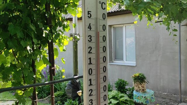 Наступило лето.mp4