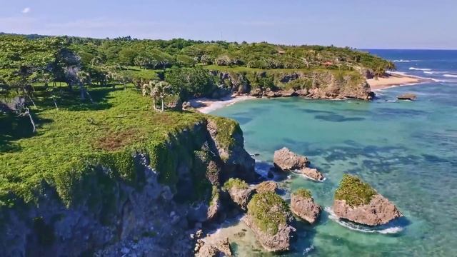 Музыка в жанре «Регги»