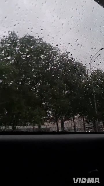 Я еду на такси