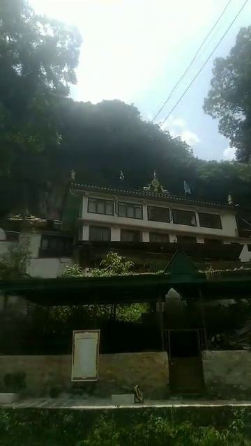 Священные непальские рыбки