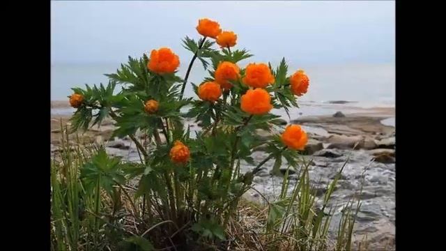 Любим и поздравляем