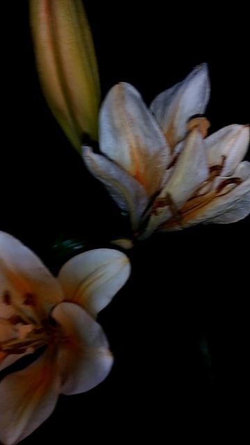 Ночная съемка