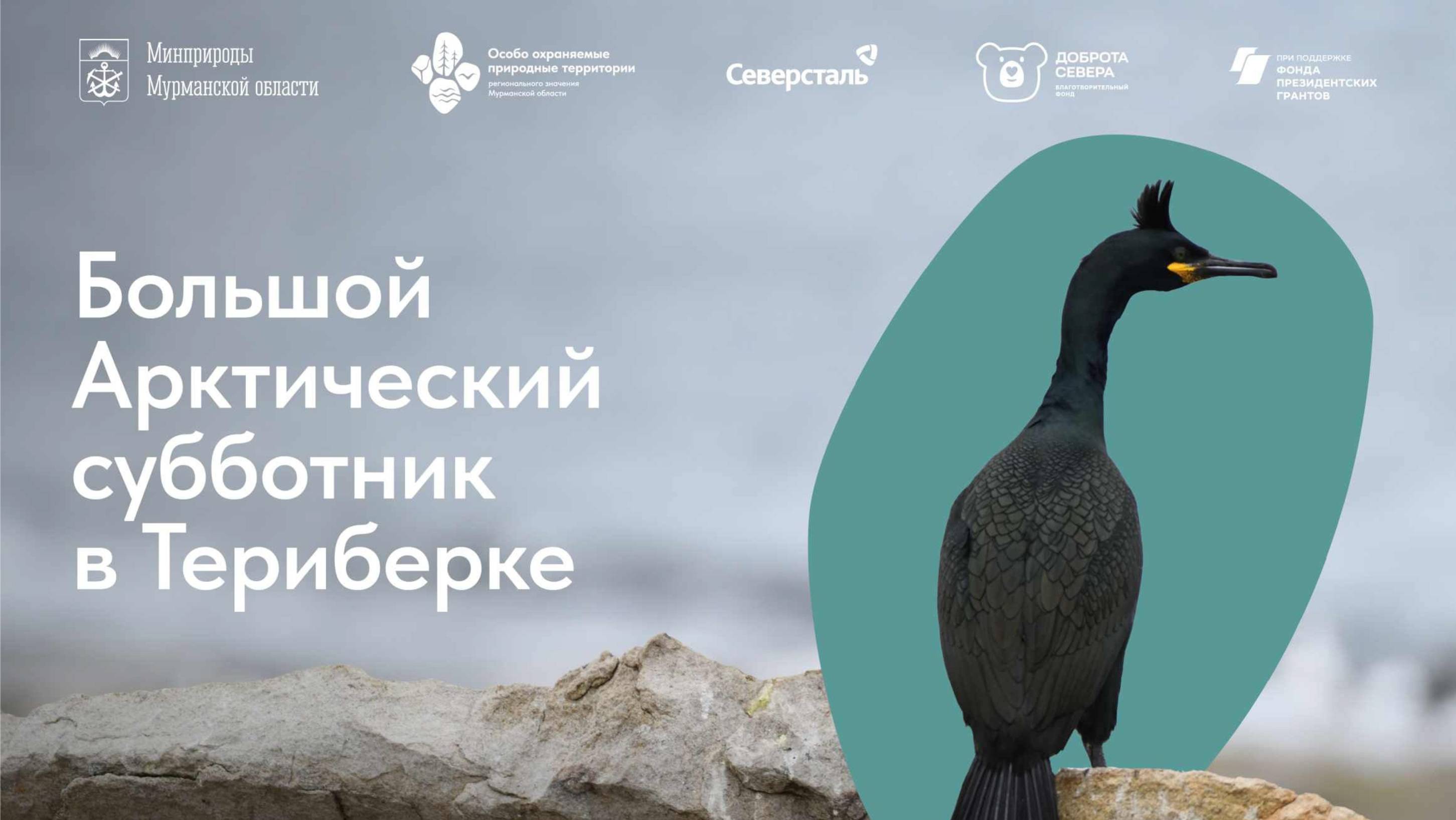 Проект "Крылья Арктики": Большой Арктический субботник